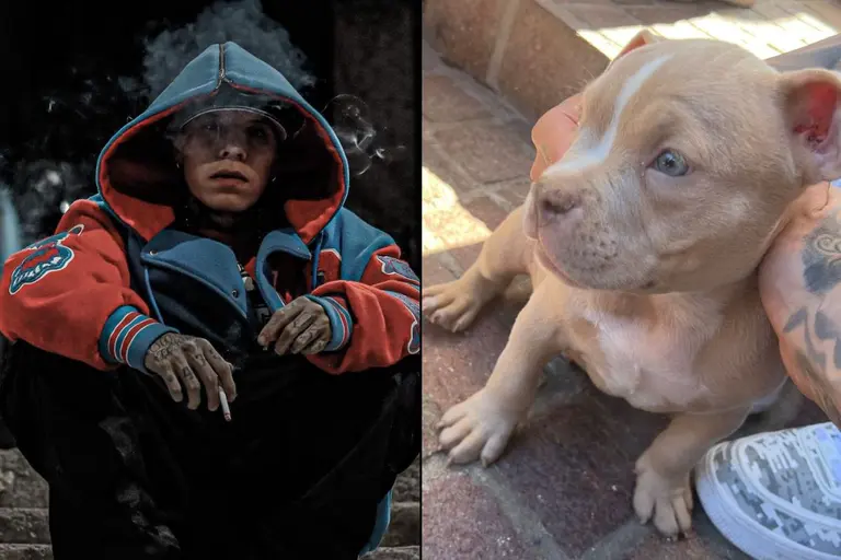 Santa Fe Klan: Conoce a 'Cholo', el adroable perro del rapero | Shows ...